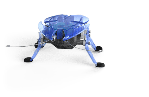 Hexbug Scarab
